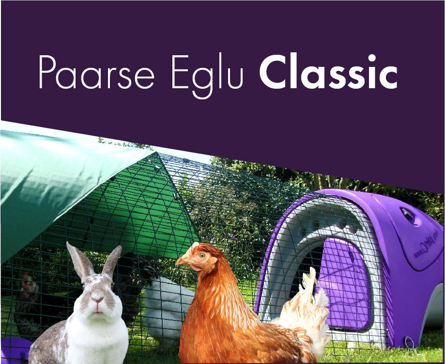 €100 korting op de Eglu Classic - Omlet Blog NL